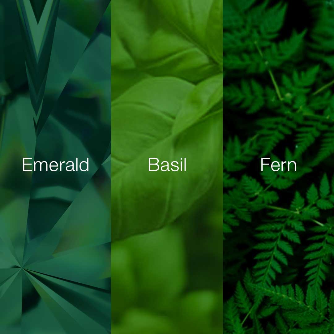 The Consciousness Compass - July - Consciousness Compass at Instituto ...